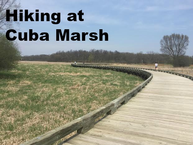 A Little Time and a Keyboard: Hiking in Cuba Marsh in Barrington