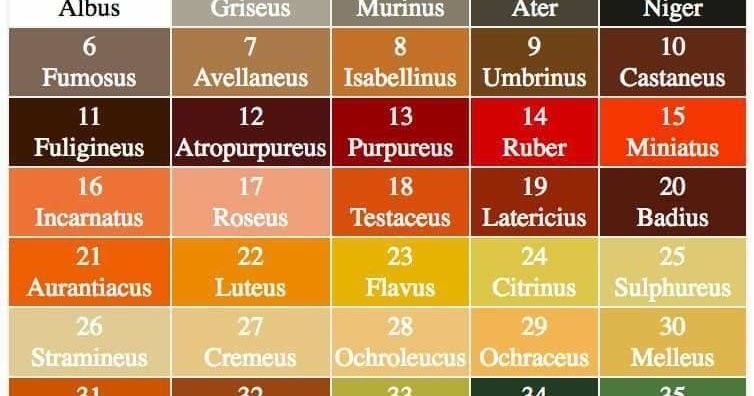 El Descanso del Escriba: Nombres de colores en latín! (50 tonos)