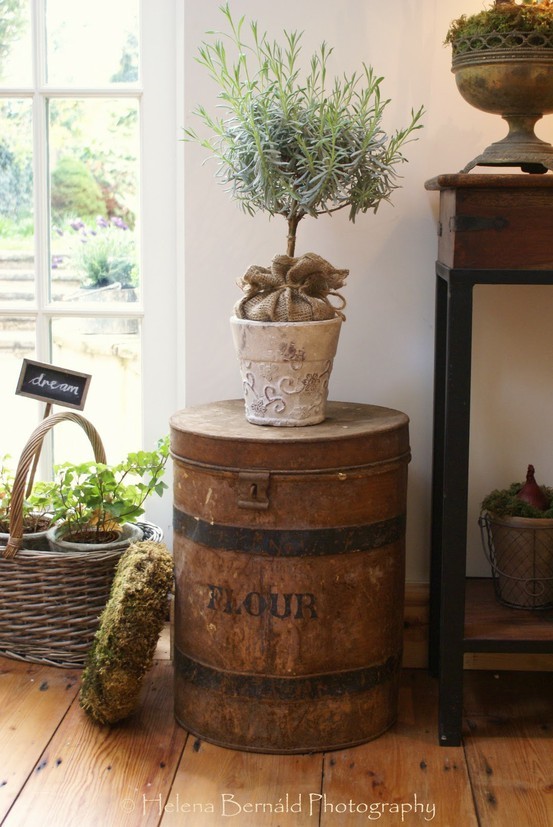 Roses and Rust: Monday Musings - Perfect Potted Plants