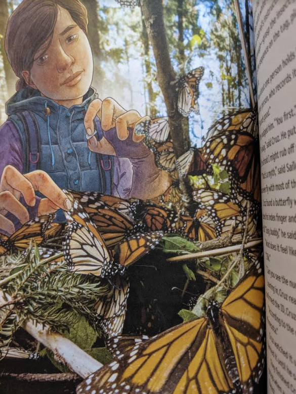 Mommy Maestra: Summer Reads: Explorer Academy