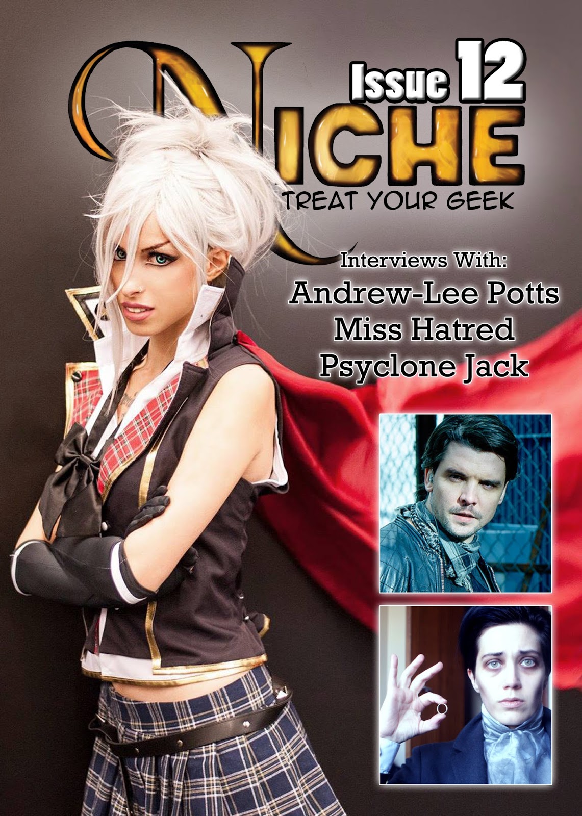 Niche Magazine Blog: Niche: Treat Your Geek Issue 12