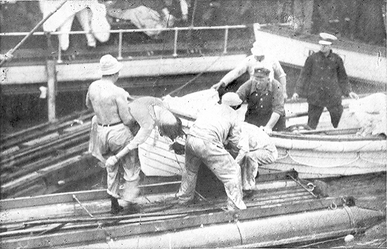 Wrecking Havoc: Hidden victim of the Titanic?