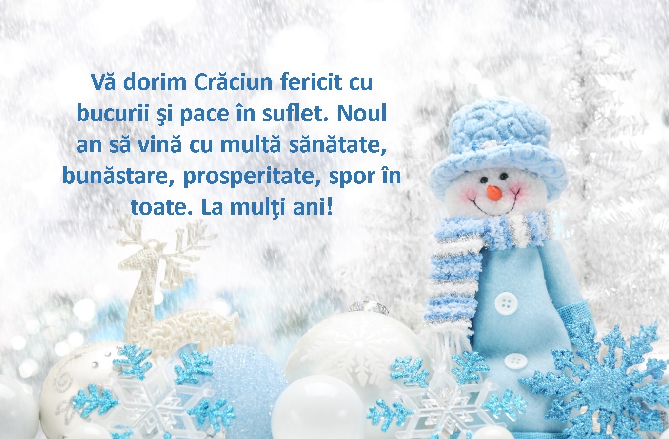 Blogul Bibliotecii Ştiinţifice USARB: Sărbători fericite!