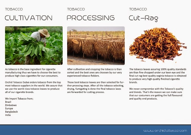 Top Cigarette Brands: Private Label Cigarettes Manufacturing Company ...