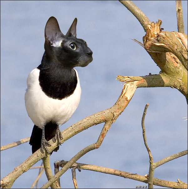 World's All Amazing Things, Pictures,Images And Wallpapers: Unreal ...