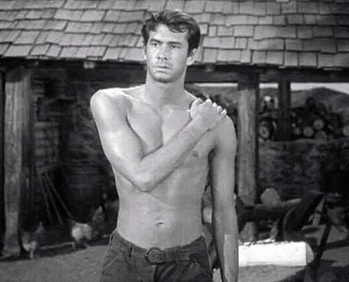 The Glass Character: Star-crossed: the life and times of Anthony Perkins