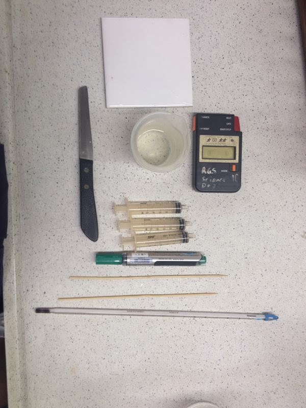 Biology Journal: Practical #1- Beetroot experiment