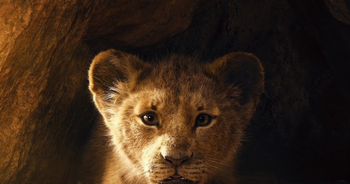 Mbreti Luan (The Lion King) (2019) dubluar ne shqip | Filma & Seriale ...