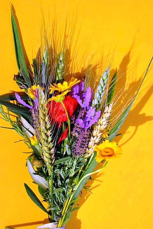 Via dei Portoghesi: Dia da Espiga