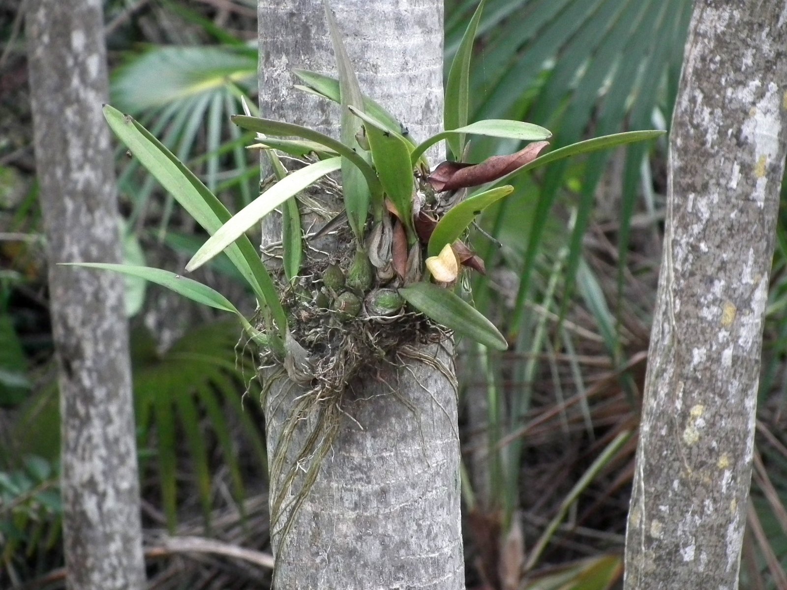 New Adventures - Moving... Visiting... going south : Part two - Bimini ...