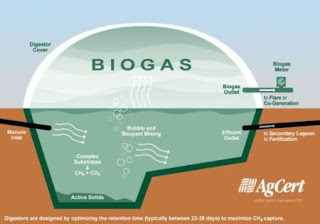 Biogas, Bio-gas, Energy Biogas, Biogas Electric generator