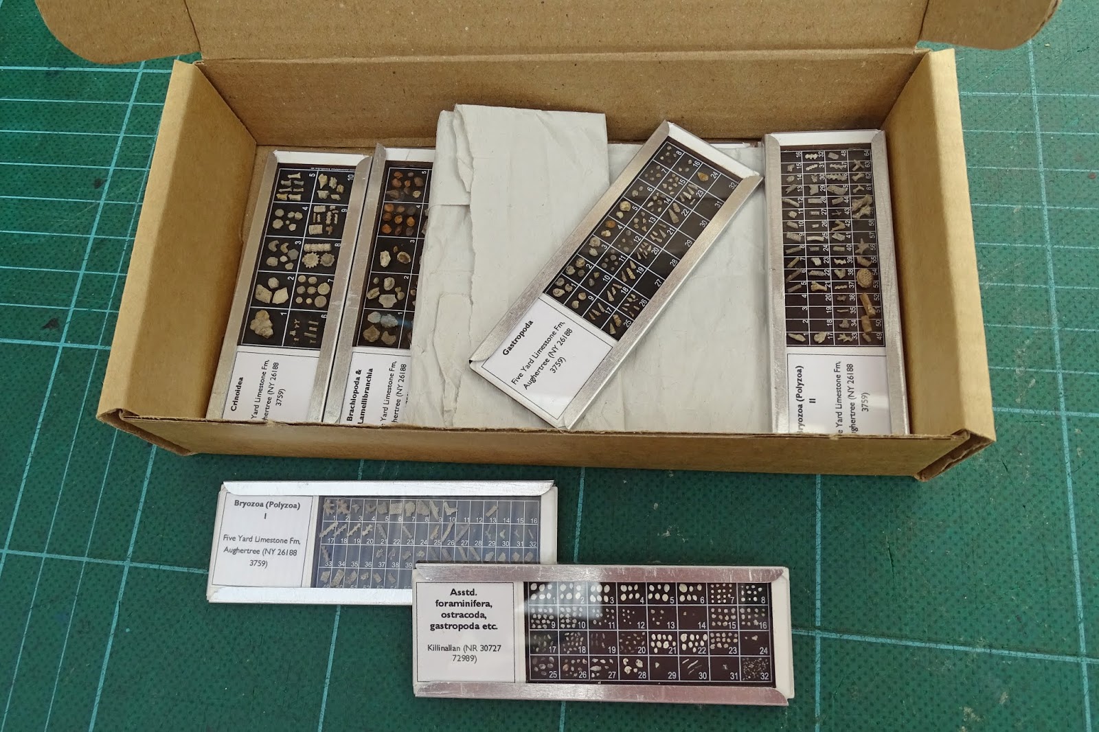 Microfossil Slides I : Collecting to Mounting