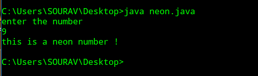 How to check Neon number in java