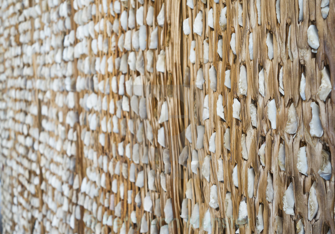 Principios Divinos: “LA GRAN TRIBULACIÓN Y LA IRA DE DIOS”