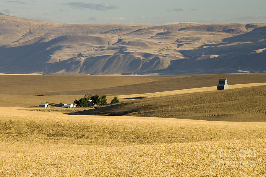 50 Authors from 50 States: 40 years of Oregon with Jane Kirkpatrick