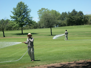 Granite Bay Golf Club Course Update: The Dog Days of Summer 2012