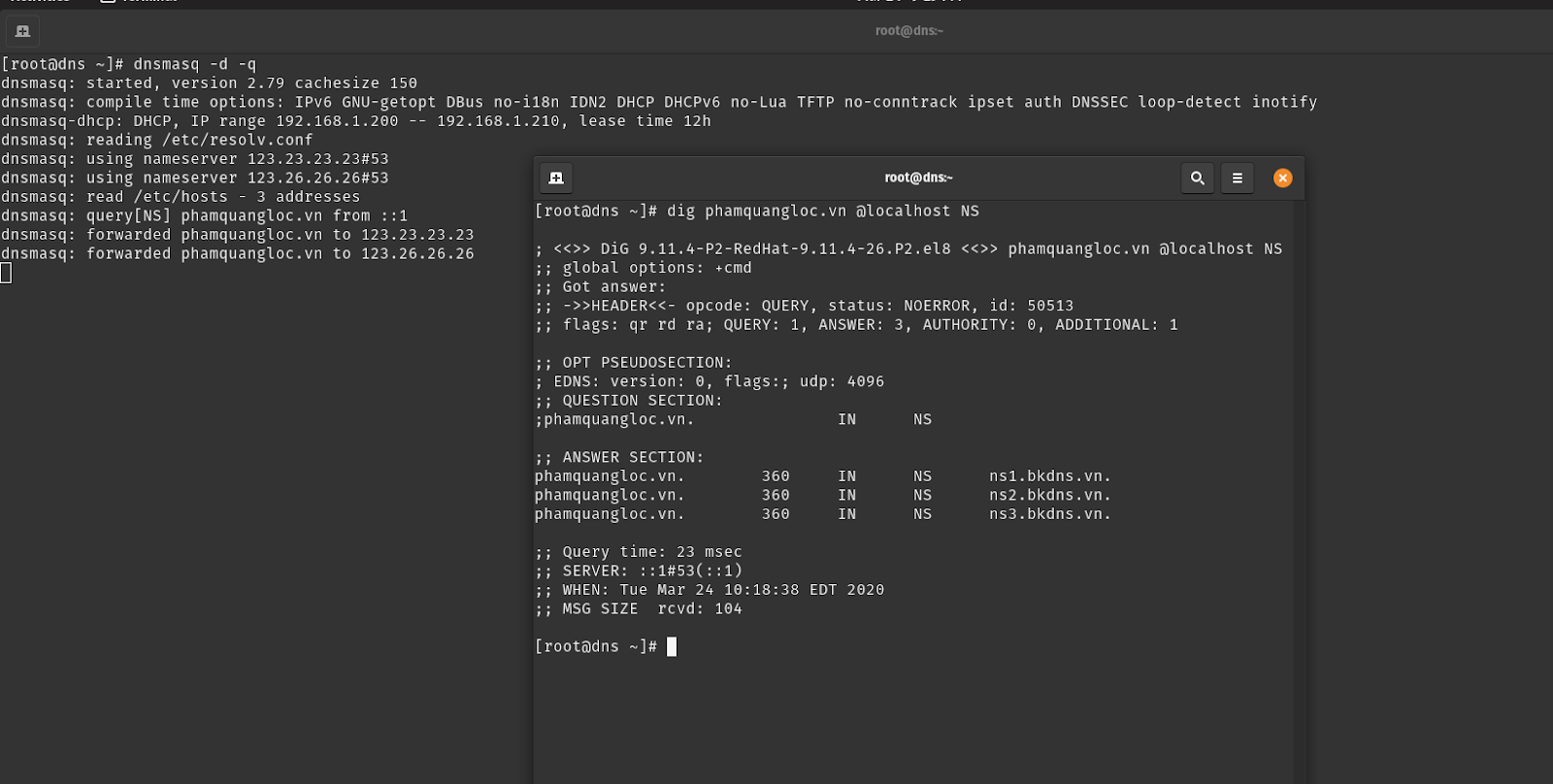 Sử dụng Domain Information Groper (dig) và cách debug cơ bản dnsmasq
