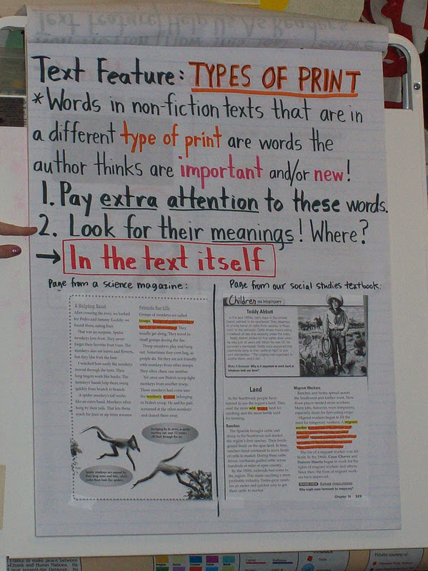 Life in 4B...: Vocabulary, Sentence Fluency, & Types of Print