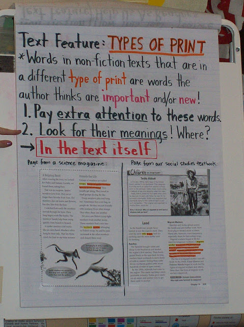 Life in 4B...: Vocabulary, Sentence Fluency, & Types of Print