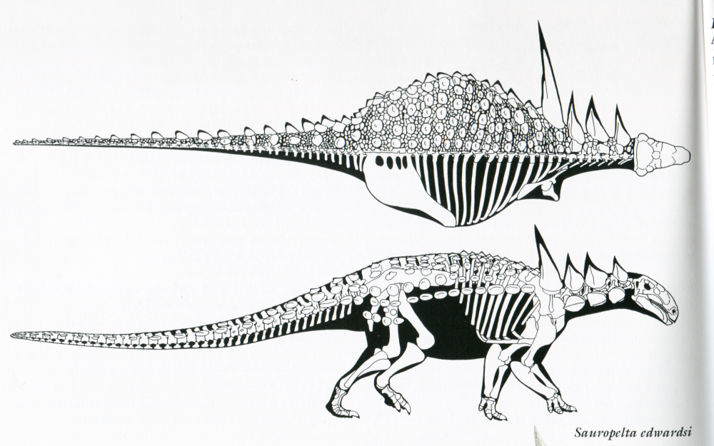 Furahan Biology and Allied Matters: September 2021