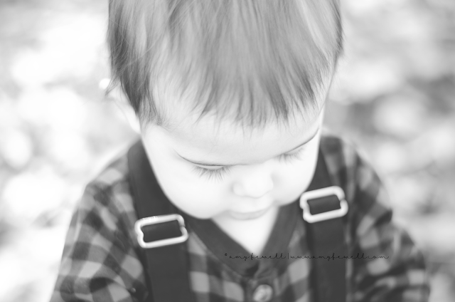 Amy Fewell Photography Blog