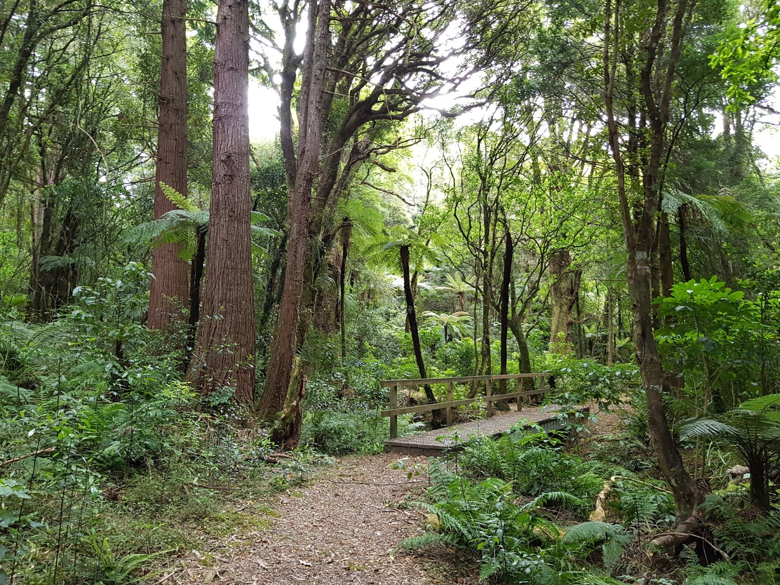 Tramping the Tararuas: Blue Range Hut