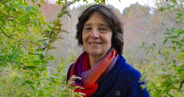 Book Q&As with Deborah Kalb: Q&A with Susan Rudnick