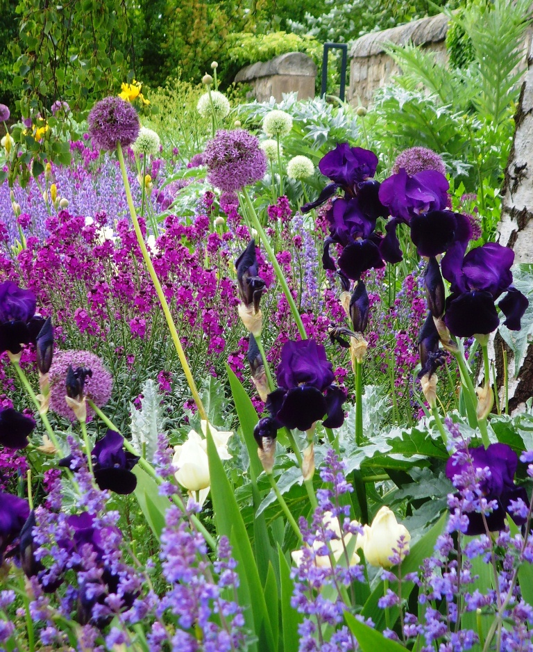 THE BASKETRY GARDEN: MAYTIME - SHOWTIME