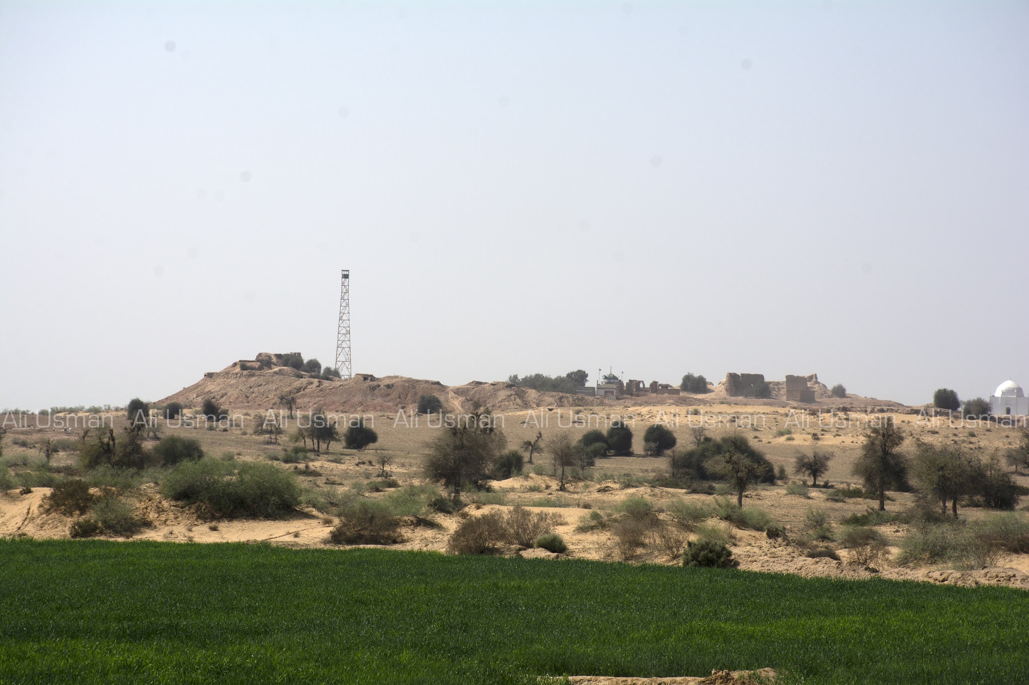 Ali Usman Baig : The Forty Seven Forts of Ancient Cholistan and its ...