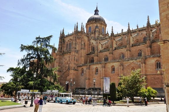 Cultural show in the Plaza de Anaya | Spanish in Spain - Tía Tula ...
