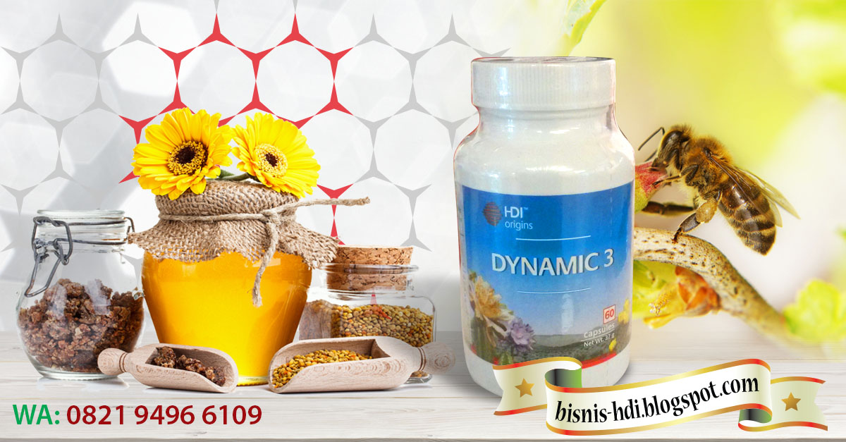 HDI Dynamic 3 | Bisnis High Desert