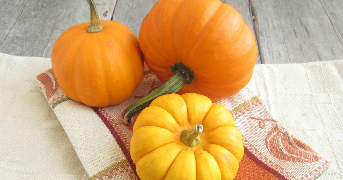 Hungry Couple: The First Pumpkins!