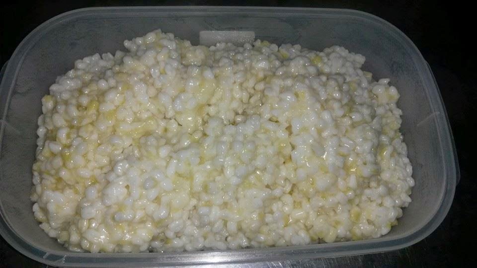 LEKKER RESEPTE VIR DIE JONGERGESLAG: STAMPMIELIES