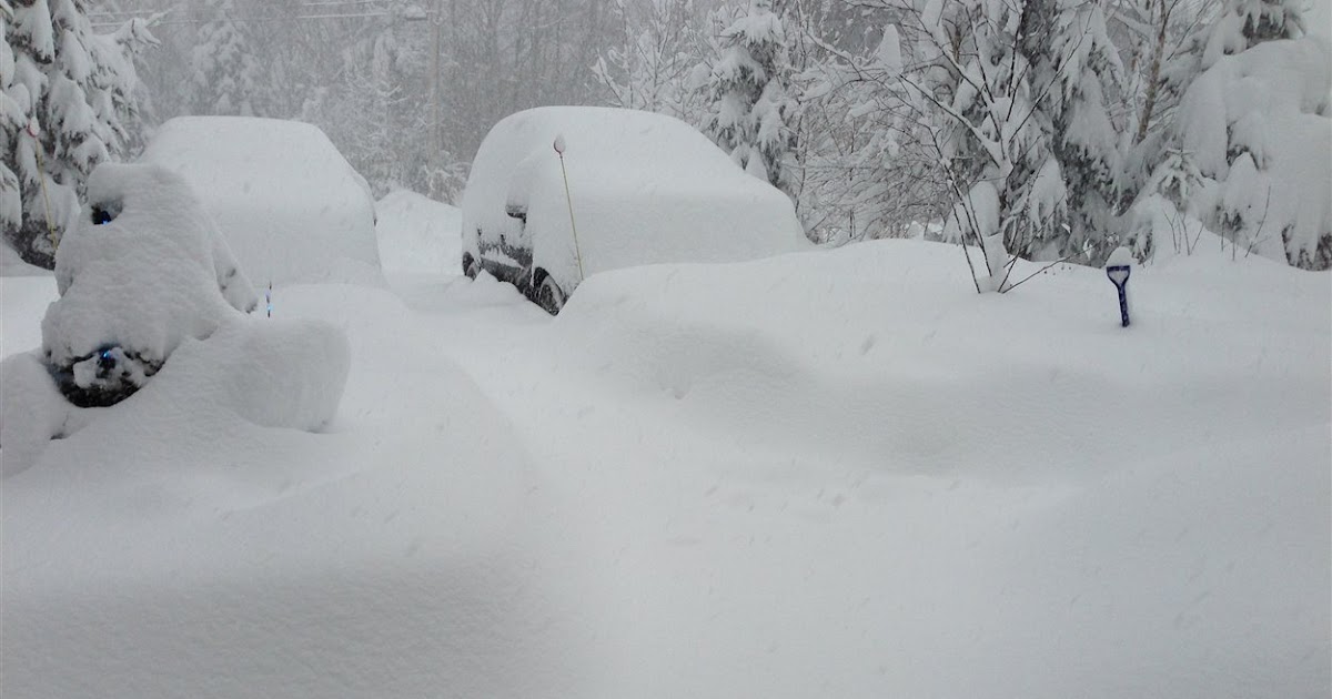 Weather News: Ισχυρες Χιονοπτωσεις στην Θρακη!!Μεχρι και 20εκ χιονι!