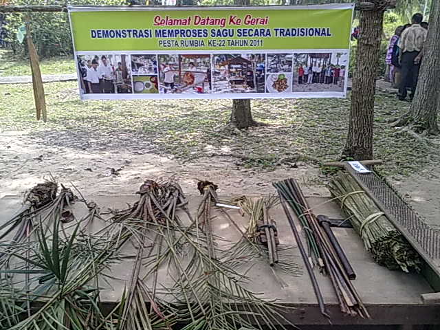 Blog CekWa: Ulat Sagu (Butod) dari batang pokok rumbia.