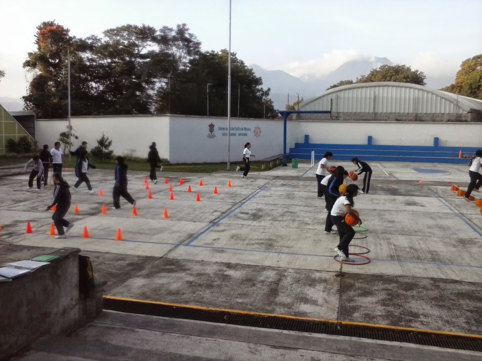 Educación física II : CIRCUITO DE ACCIÓN MOTRIZ (EVALUACION PARCAL 50%)