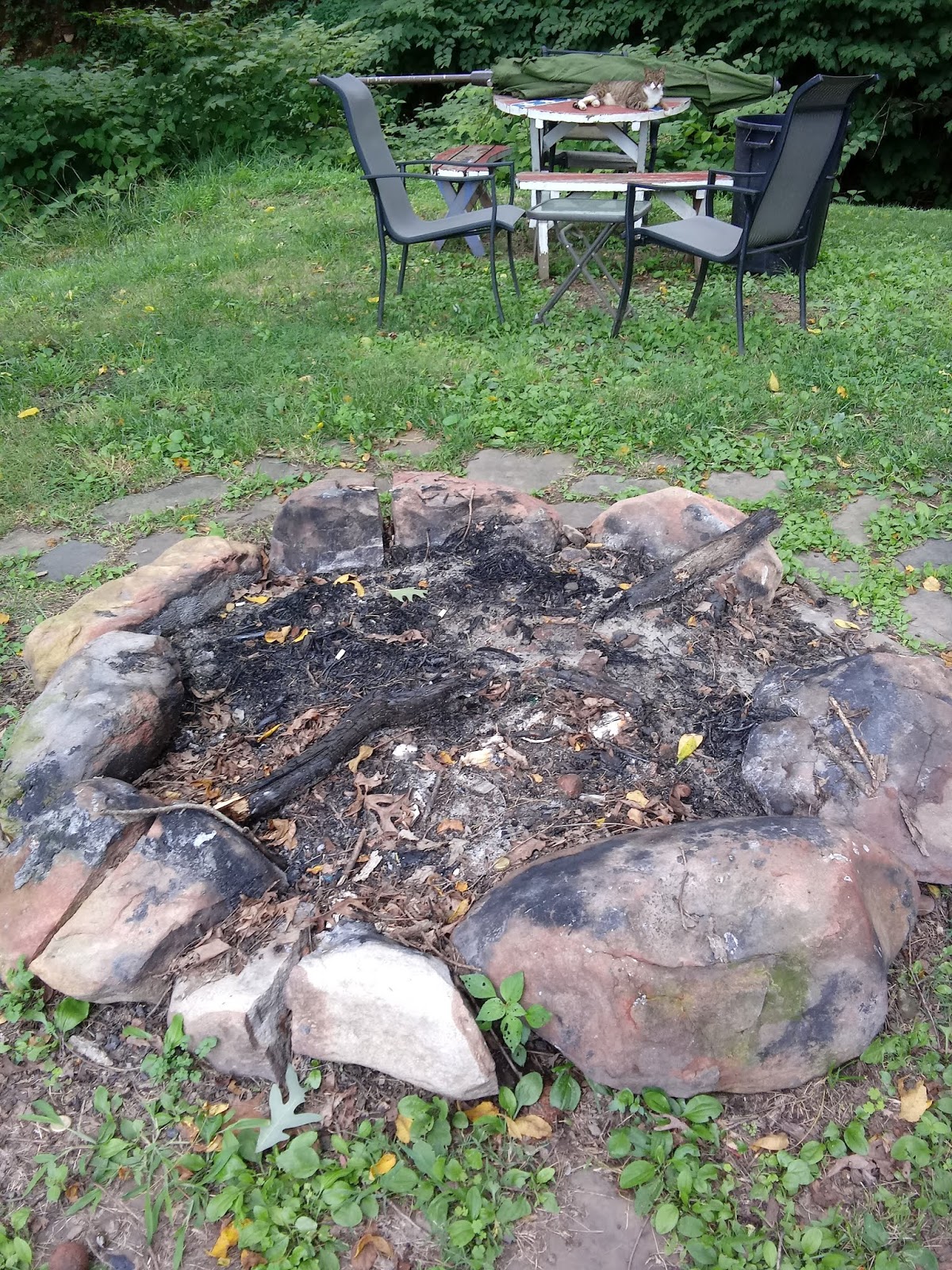 Campfire campfire