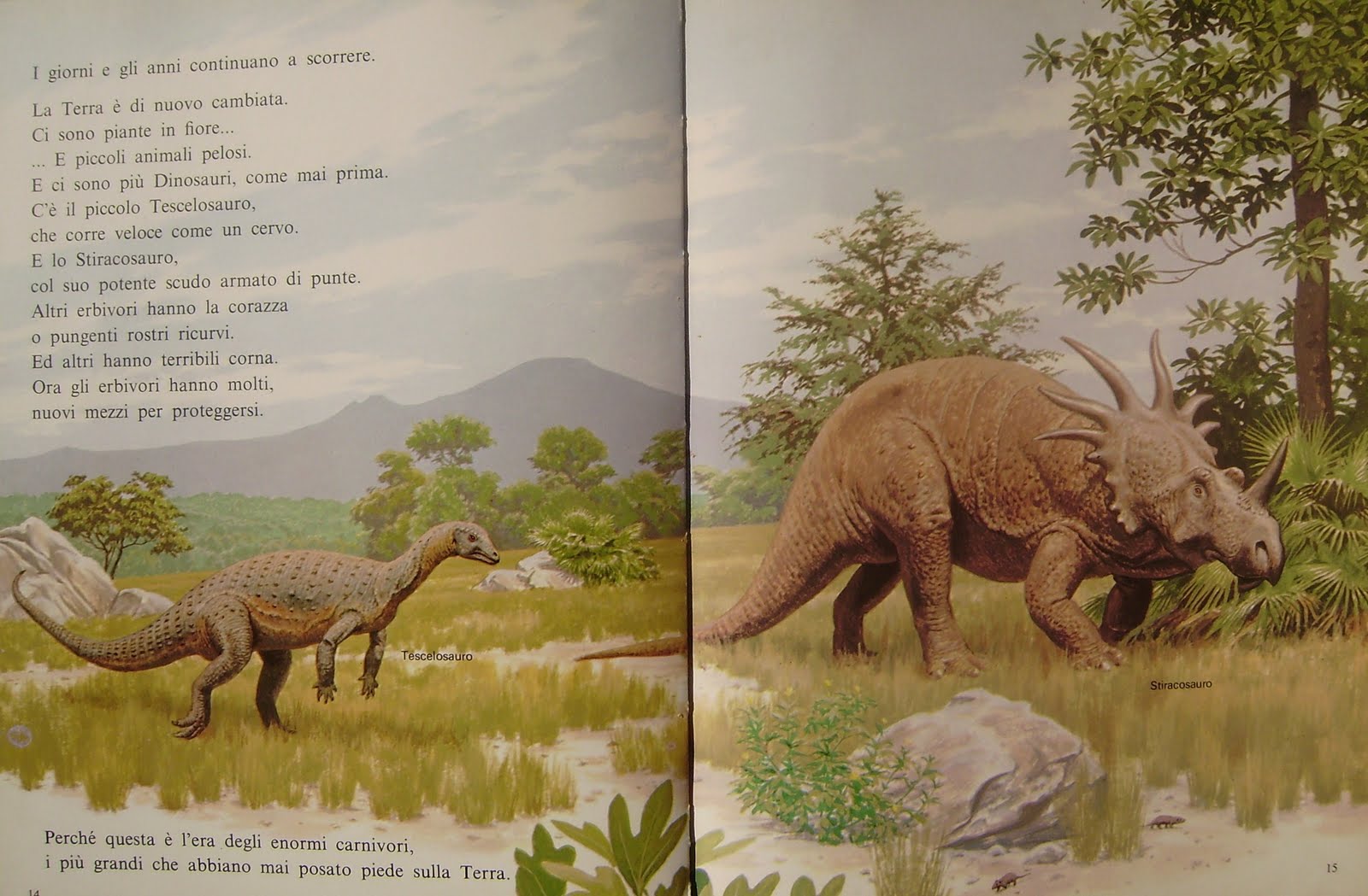 AGATHAUMAS: Diorami dello Smithsonian National Museum of Natural History