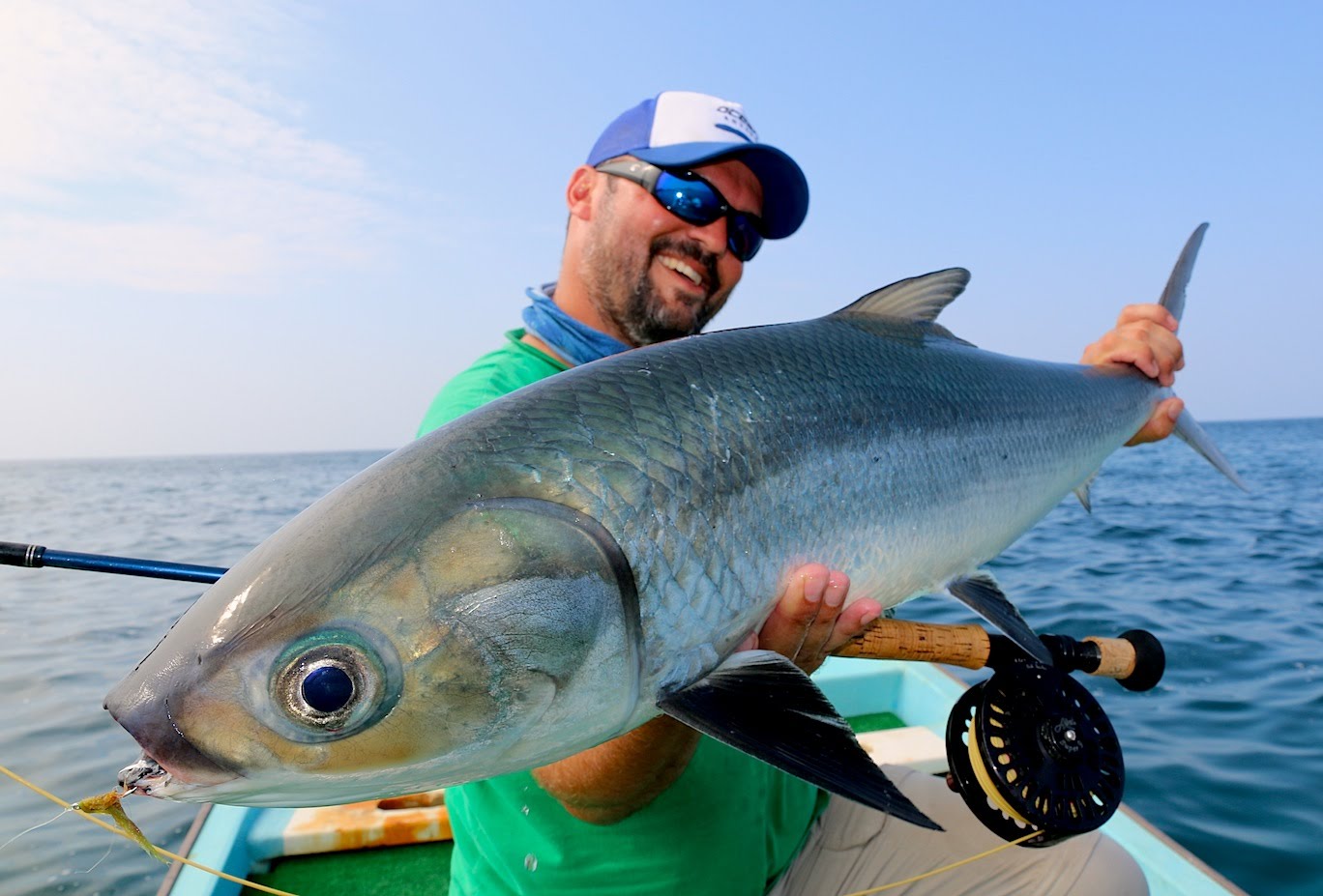 Milkfish Supplier, Milkfish Fresh Market, Milkfish Fillet, Bangus Fish ...