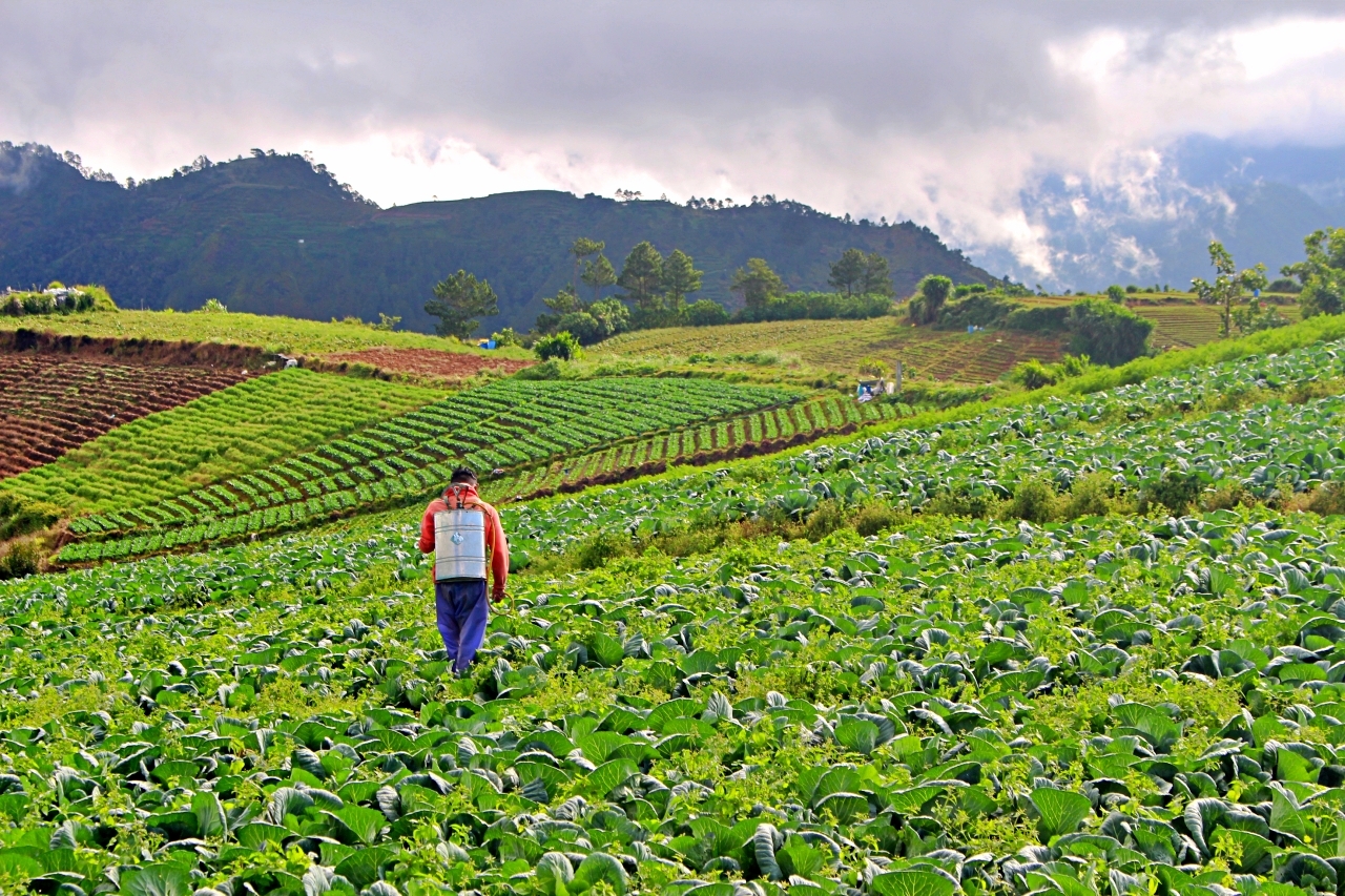 Find Yourself in the Cordilleras: The Farming Communities of Benguet ...
