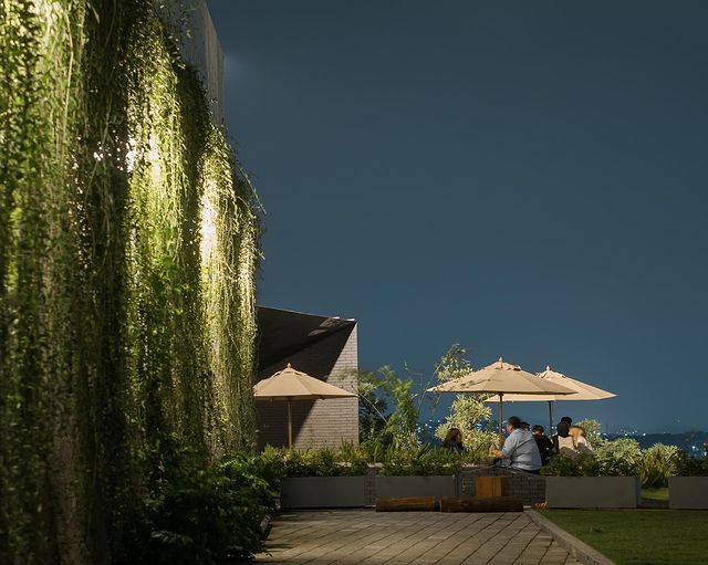 Monti Dining Semarang Harga Menu dan Lokasi - Info lokasi terhits