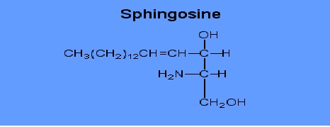 Biochemistry: Lipids