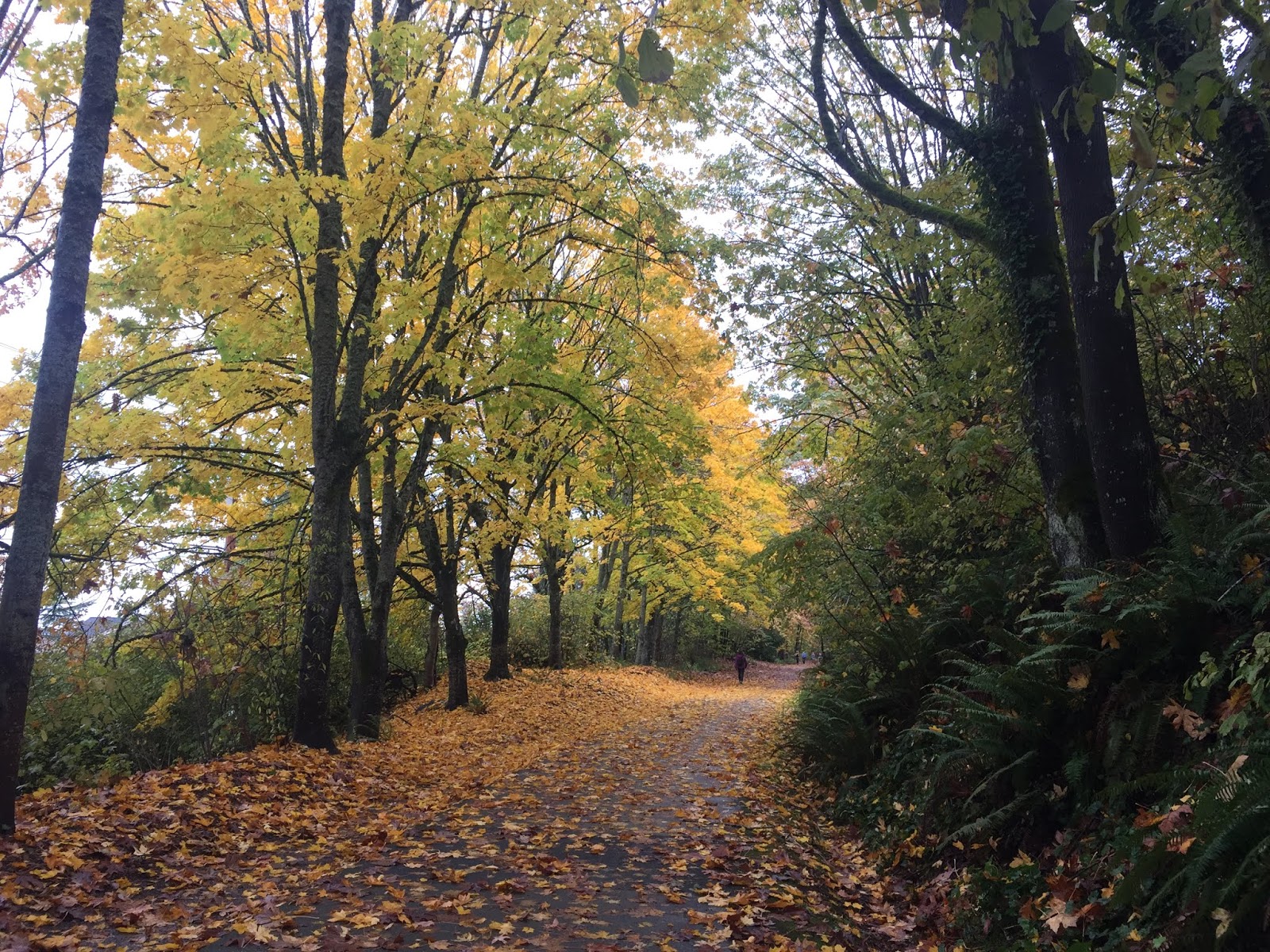 Cliff Mass Weather Blog: October 2019