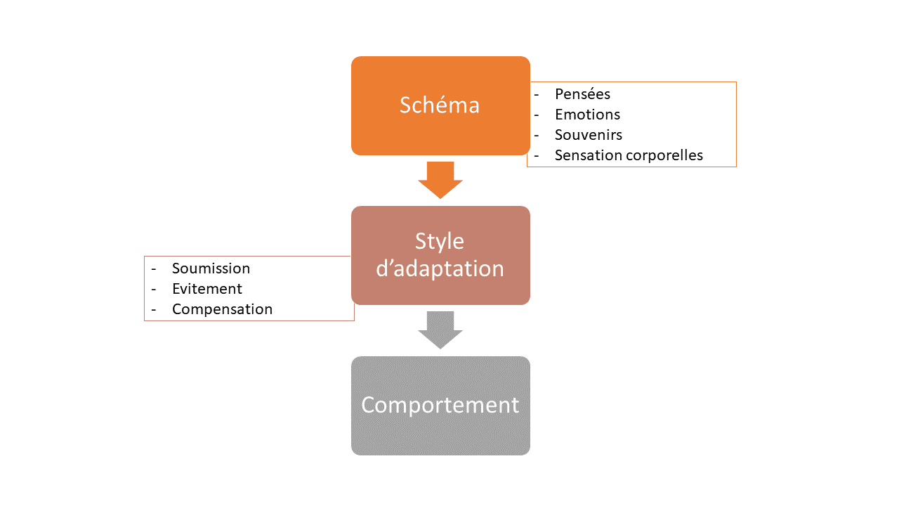 La thérapie des schémas