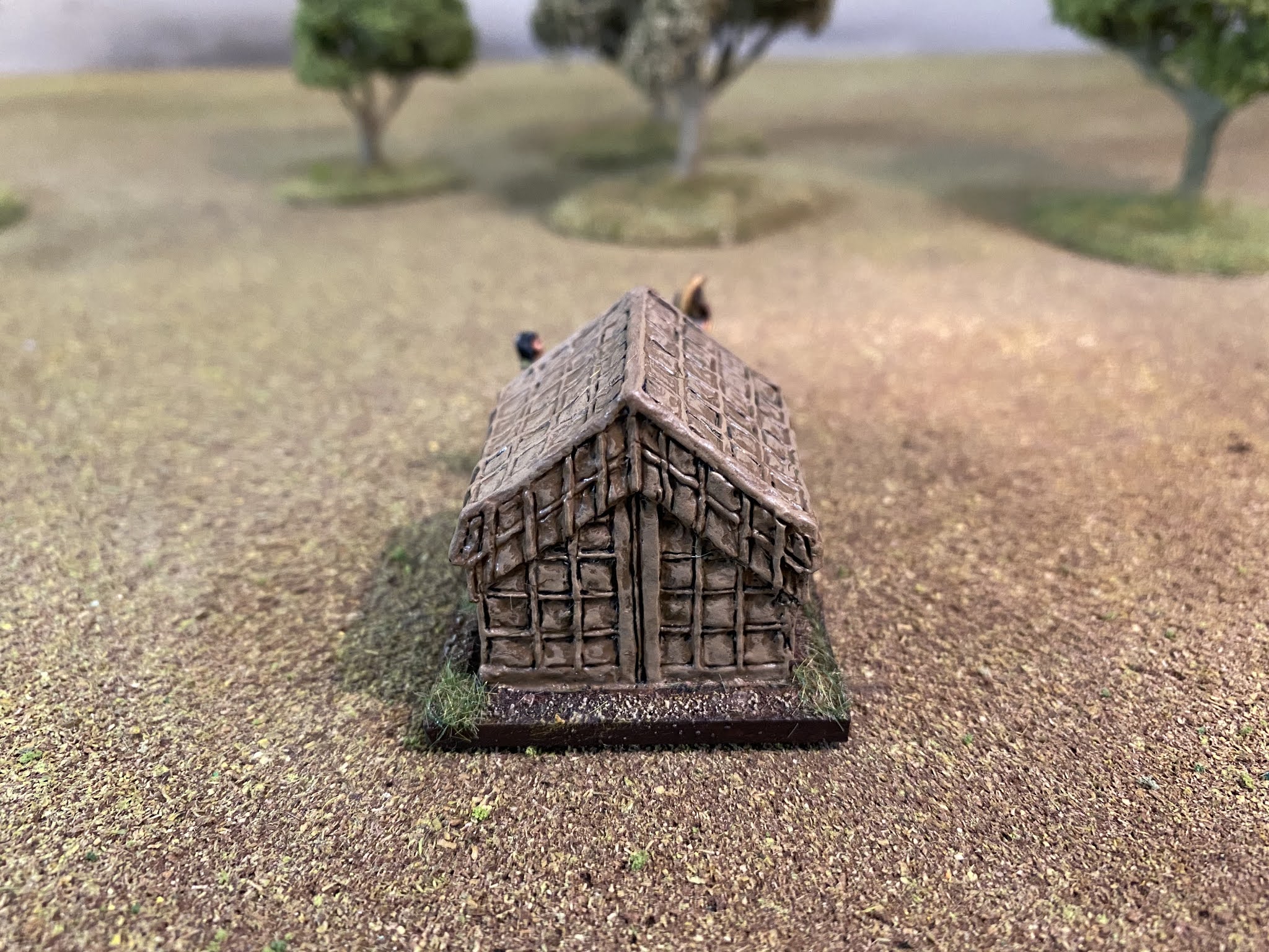 This Life in Lead: 15mm DBMM Camps