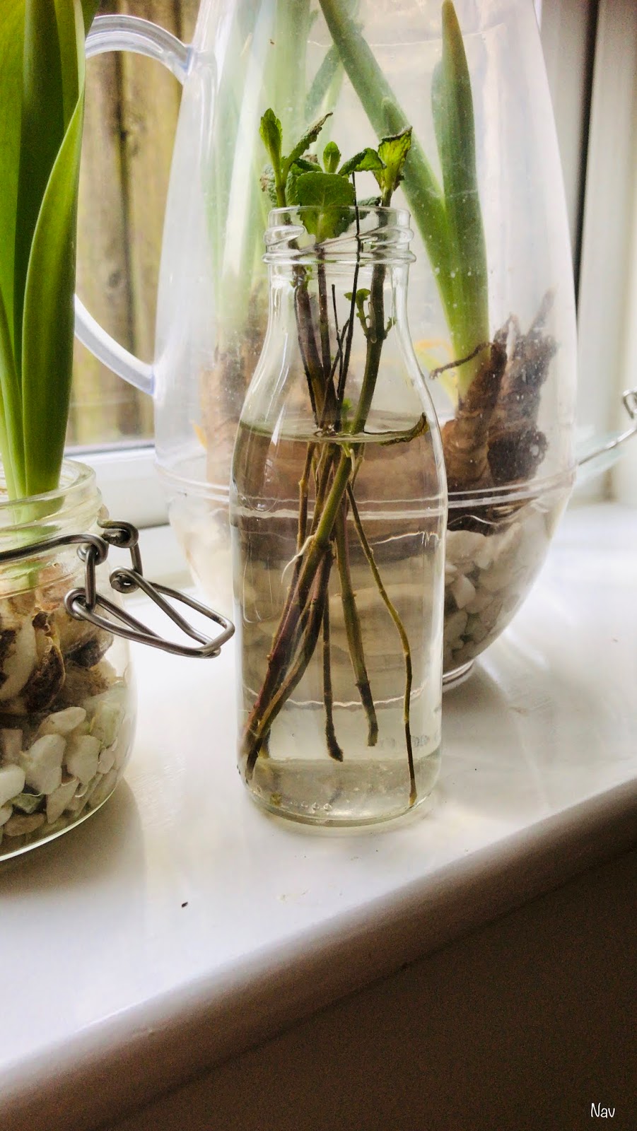 Memories and Meals: JFI -WBB for Greens: Palak Pulav