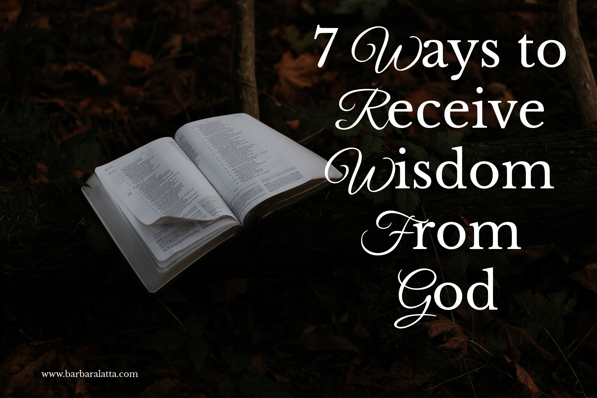 Navigating Life's Curves : 7 Ways to Receive Wisdom From God