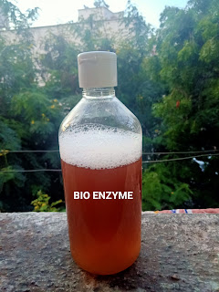Bio Enzyme- A Natural Multi- purpose Cleaner