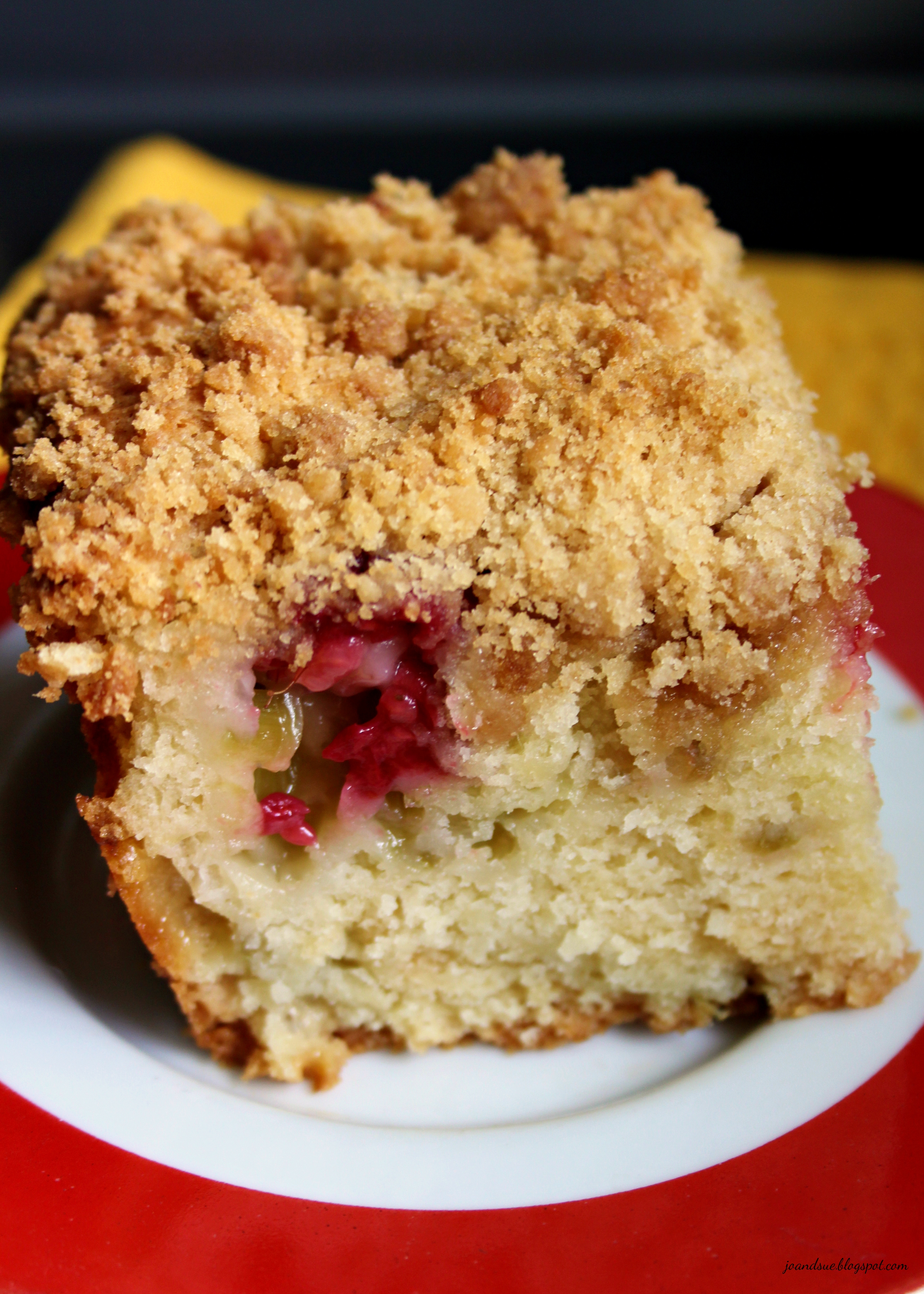 Jo and Sue: Big Batch Rhubarb Raspberry Streusel Cake