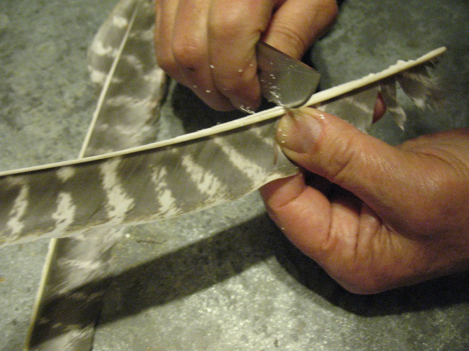 Sensible Survival: Making Arrow Fletchings from Whole Feathers